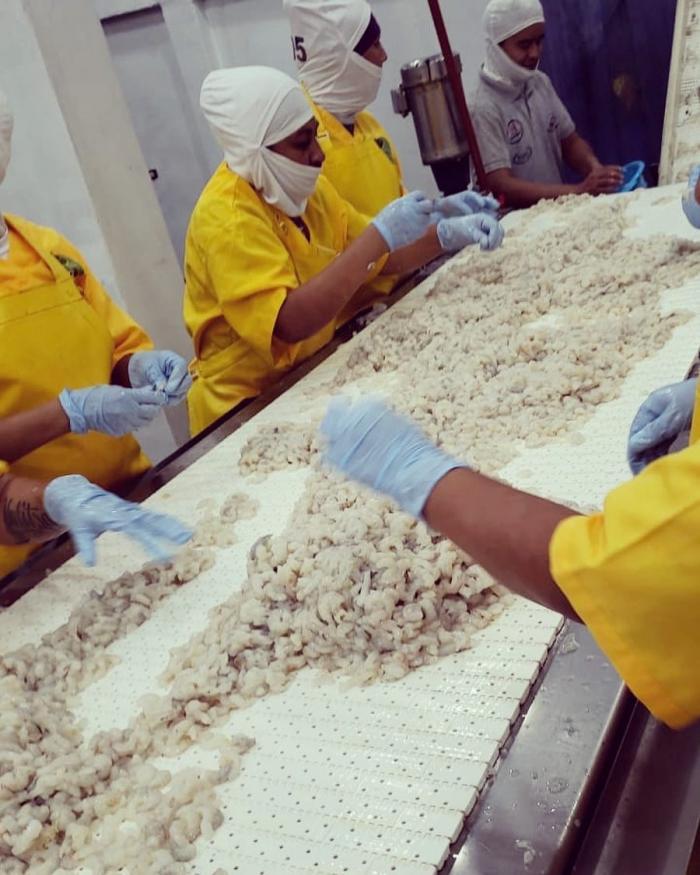 El pomada se visibiliza ante el mundo