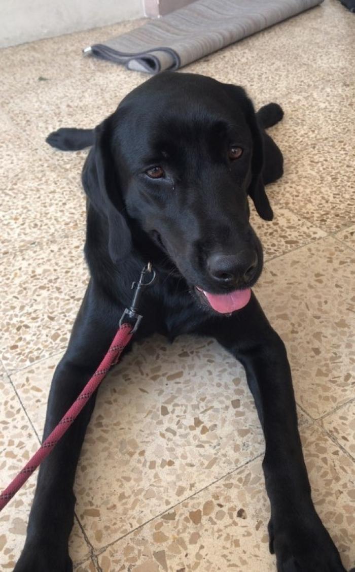 Aspy Band: "Llegamos a destapar la olla"