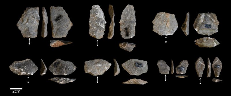Los macacos hacen involuntariamente lascas de piedra similares a las ...