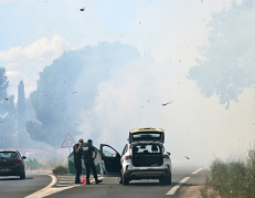 La Universidad Agraria tiene nuevo rector: Tamara Borodulina fue destituida