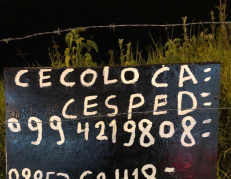 ¿Cómo funciona Flow, la IA de Google que genera escenas de película?