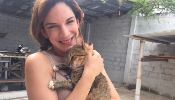 Madre e hija albergan a 80 gatos y seis perros en un refugio