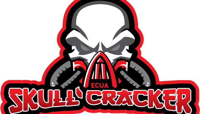 ¿Existen equipos profesionales de e-Sports en Ecuador? Sí, conócelos