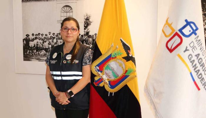 Monica Gallo: “Un contingente de cien personas monitorea la raza 4”