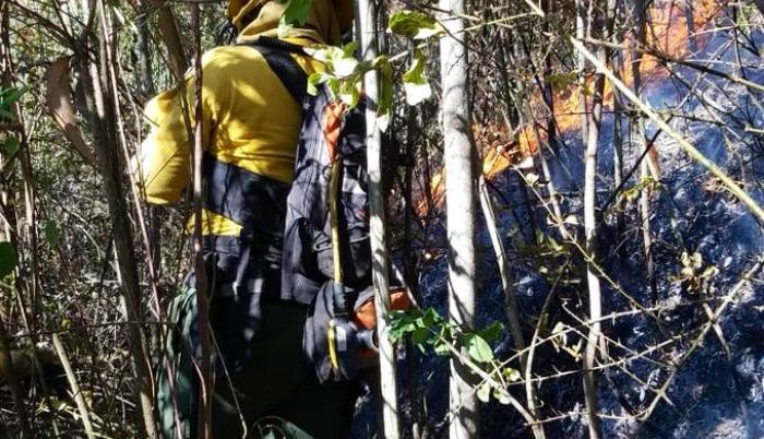 Incendios forestales afectan mas de 13.000 hectareas en Ecuador