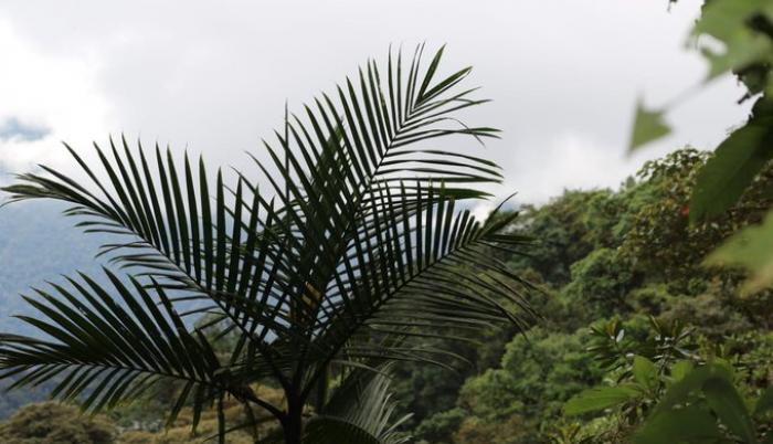 Ministerio de Ambiente incorpora la primera area protegida privada del ...