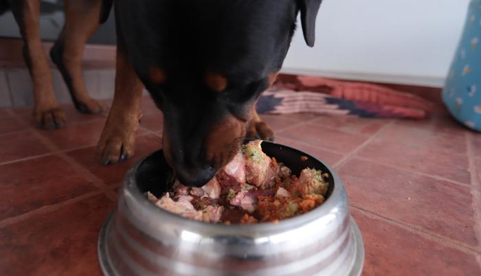 BARF: una dieta animal que se vuelve tendencia, con pros y contras