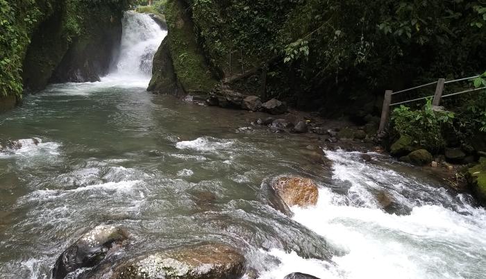 Mindo, un jardín inolvidable