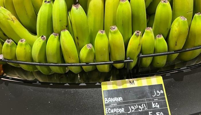 El banano ecuatoriano duplica su presencia en Catar