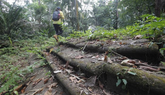 Los caminos que inspiraron el Canal de Panamá