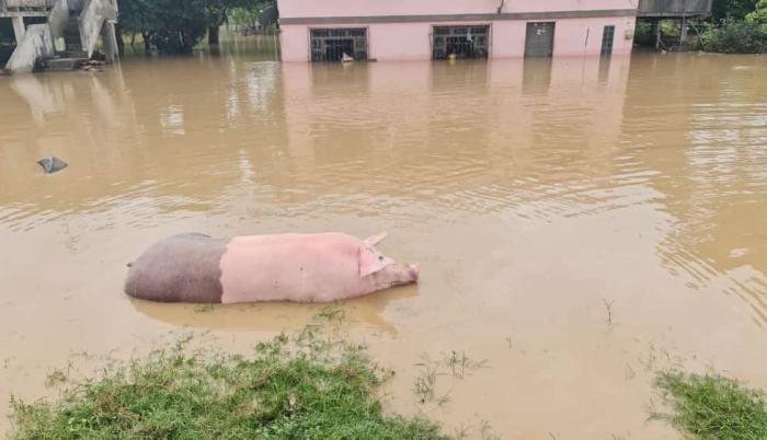 Chone: las impresionantes imágenes de las inundaciones tras el aguacero ...