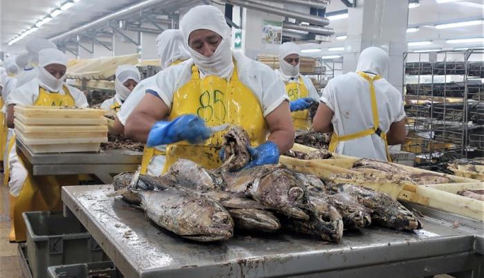 Exportador de langostas en EEUU se declara culpable de fraude en etiquetado