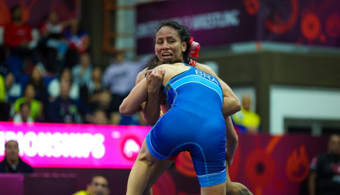 Con un camino dorado hacia Santiago 2023