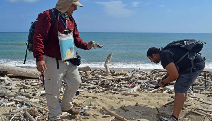 Rocas de plástico alteran la costa del caribe