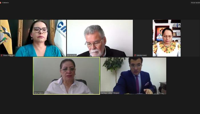 Elecciones 2023: Más de 800 observadores están acreditados para vigilar ...