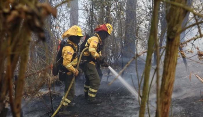 Quito registró 22 incendios forestales en 24 horas