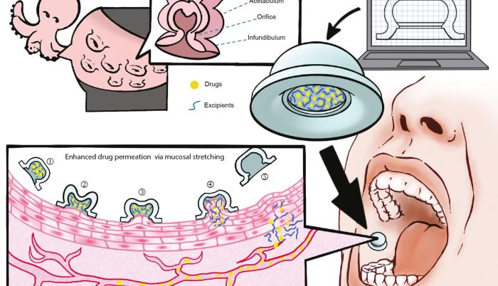 Un parche en la mejilla es capaz de suministrar fármacos difíciles de ...