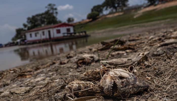 La severa sequía en la Amazonía brasileña afecta a 633.000 personas y ...