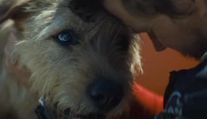 Arthur The King: El tráiler sobre la vida del famoso perro ecuatoriano