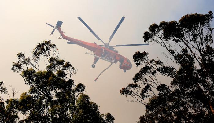 Un incendio forestal arrasa con varias casas en rápida expansión en ...