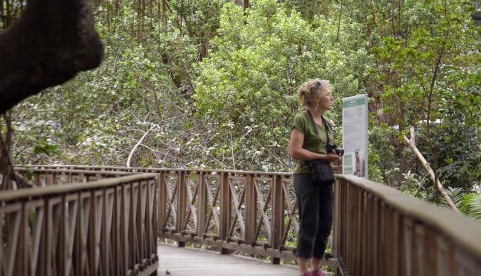 La ONU se une para restaurar el manglar de Samborondón