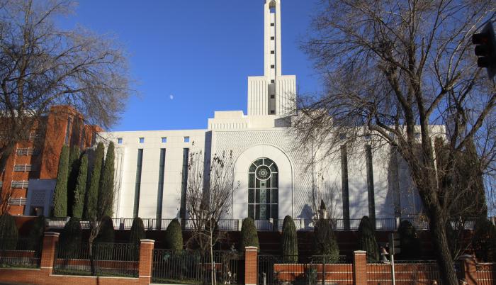 Los mormones diseñan el 'árbol genealógico de la humanidad'
