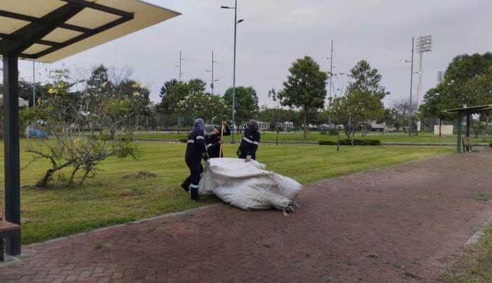 Samanes, intervenido para su recuperación