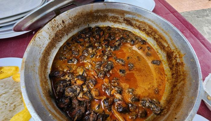 El encocado, un plato que refleja la identidad y resistencia de la ...