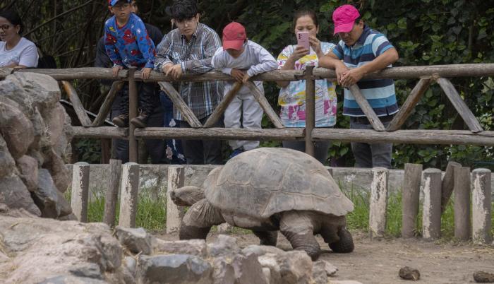 Carnaval en el Zoológico de Guayllabamba: Horarios y precios