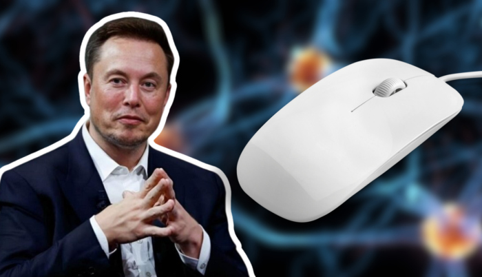 Elon Musk revela que logró que un humano controle un mouse con el ...