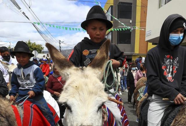 En sus marcas, listos, ¡arre borriquito!