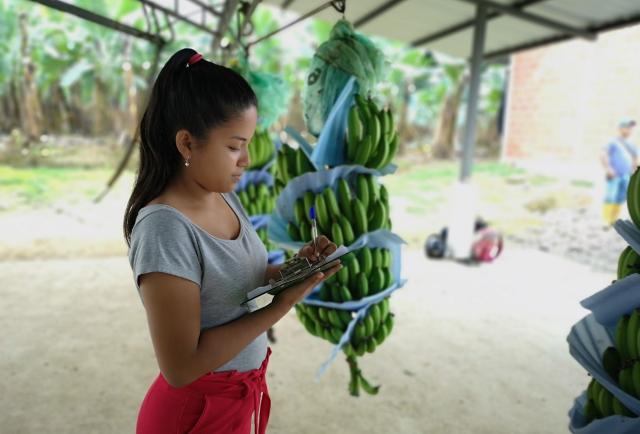 El top 5 de las exportadoras bananeras