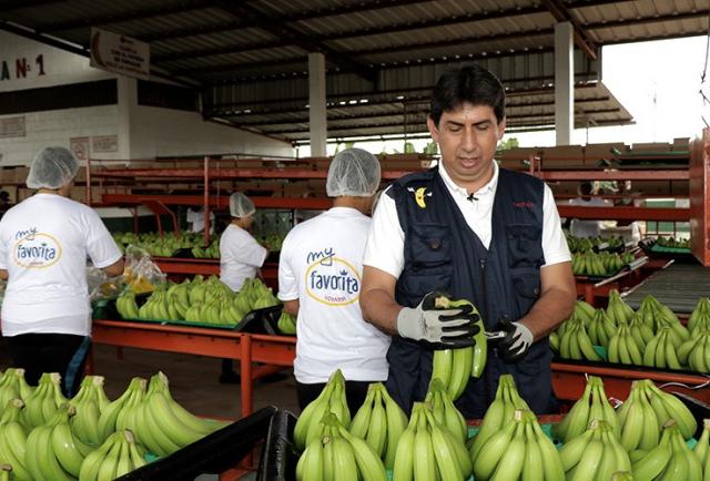 Dos mujeres en el top 5 de la exportación de banano