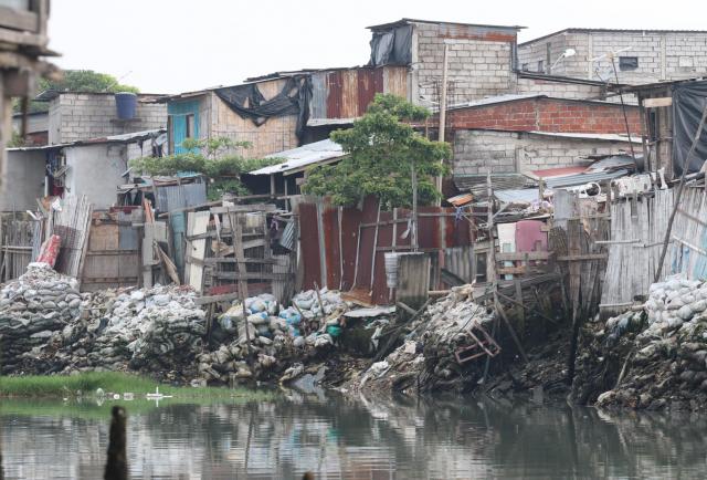El enmaranado camino para sanar el estero