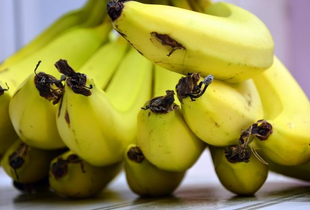 La exportacion de banano sube levemente en el primer trimestre