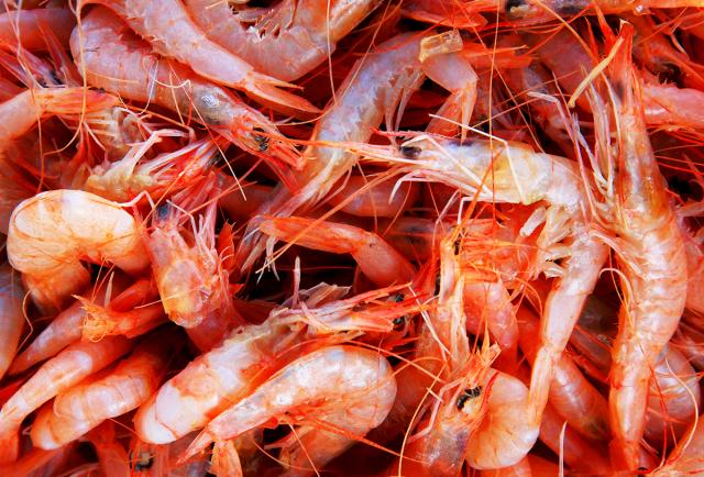 El camaron ecuatoriano se toma Asia