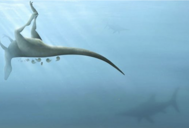 Descubren nueva especie de dinosaurio relacionada con el T-Rex