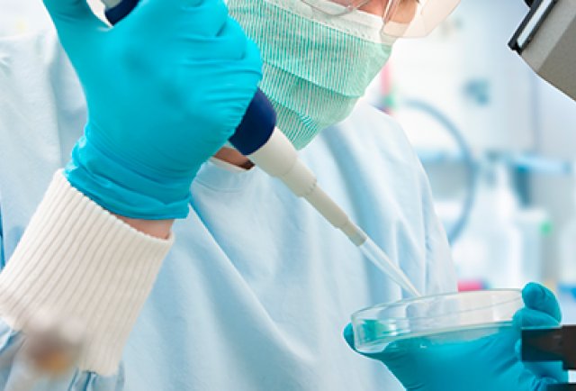 La reprogramación celular permite recrear redes neuronales de células ...