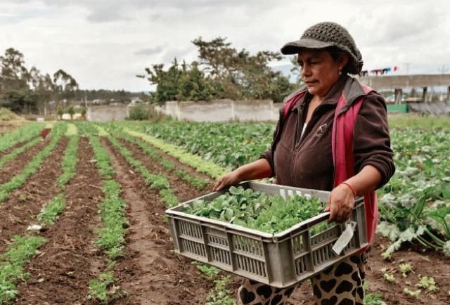 Pichincha espera el impulso real a la ruralidad y el agro