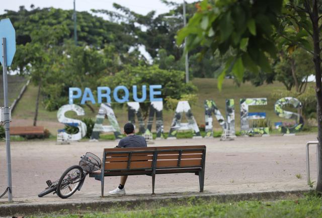 Mantenimiento de Samanes cuesta $ 300.000 y el 60 % de árboles están desatendidos