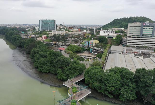 Guayarte: las opciones para recuperar su norte