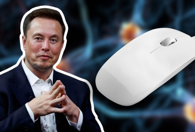 Elon Musk revela que logró que un humano controle un mouse con el ...
