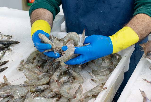 Productores locales: "El camarón ecuatoriano es preferido en más de 60 ...