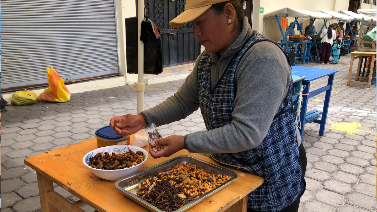 Día de los muertos: los chanchitos y catzos, el sabor que se revive en ...