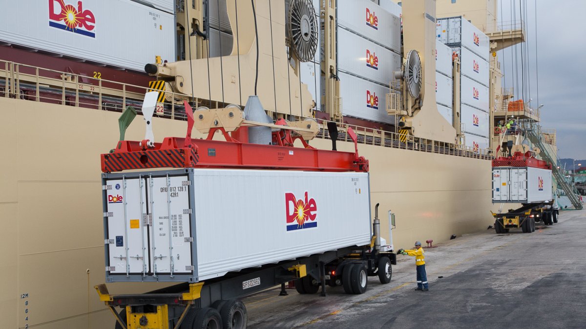 Dole Food Company anuncia la venta de Bananapuerto en $ 75 millones