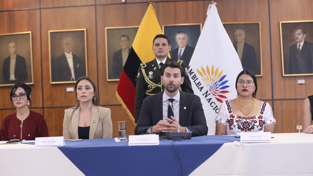 Reforma al Código de la Función Judicial: ¿qué pidió Niels Olsen para ...